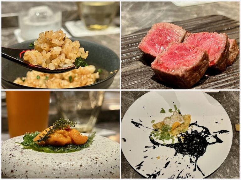 W大阪 MYDO/初めてだけどMYDO（まいど）楽しい鉄板焼き屋さん | ナリコムドットネット